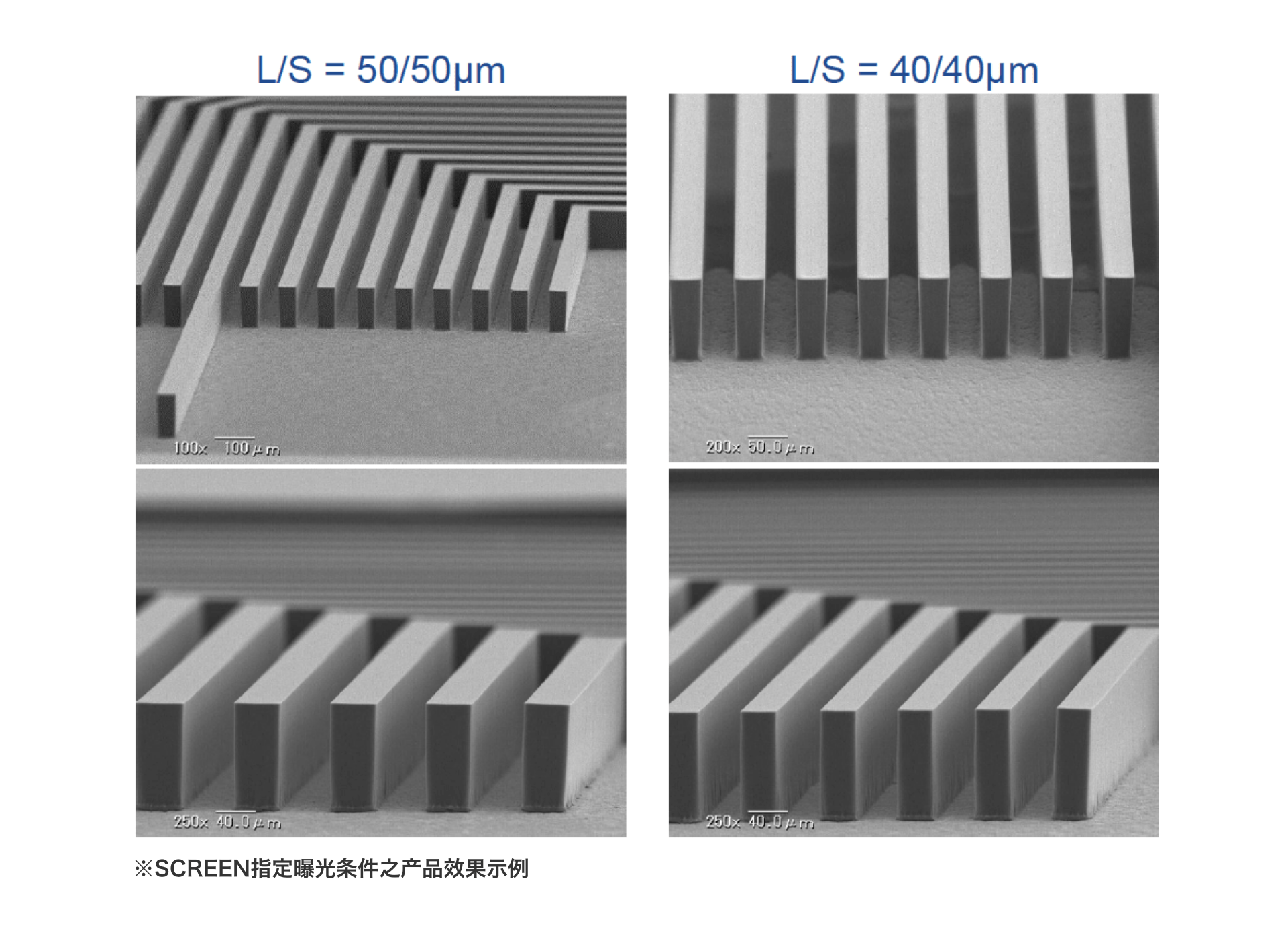 Ledia7 -- SCREEN on the website Fastest & Supreme color