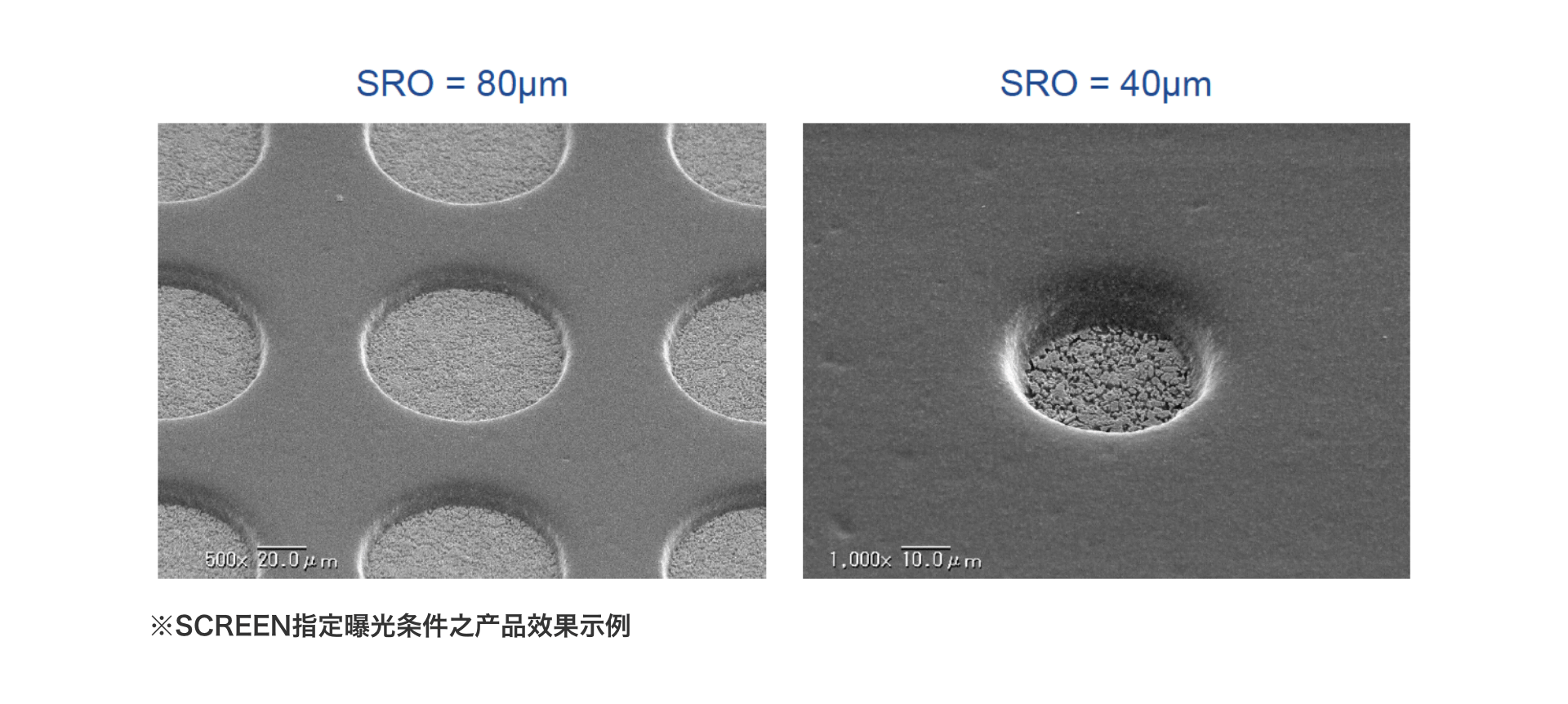 Ledia7 -- SCREEN on the website Fastest & Supreme color